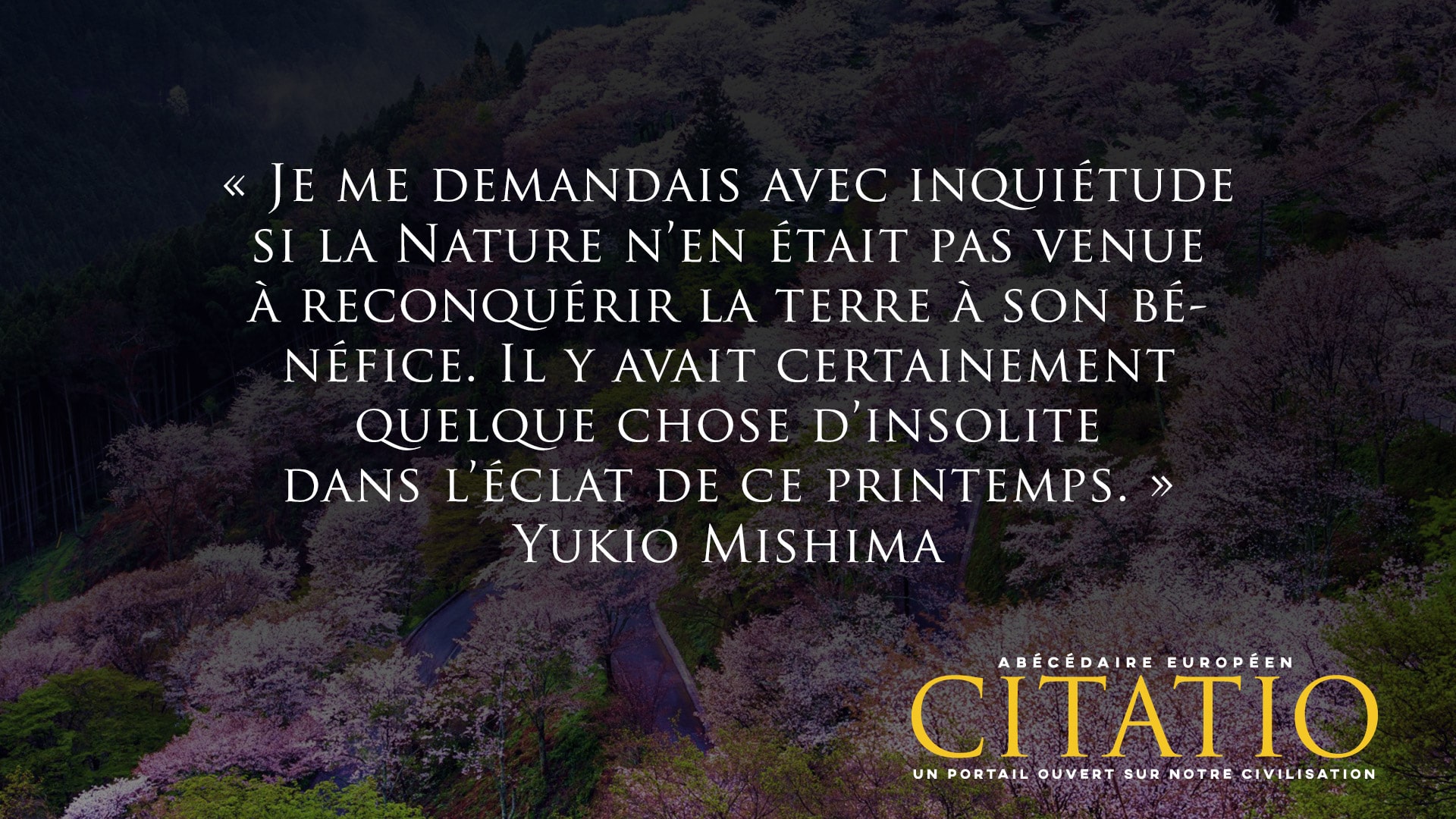 Il y avait certainement quelque chose d’insolite dans l’éclat de ce ...